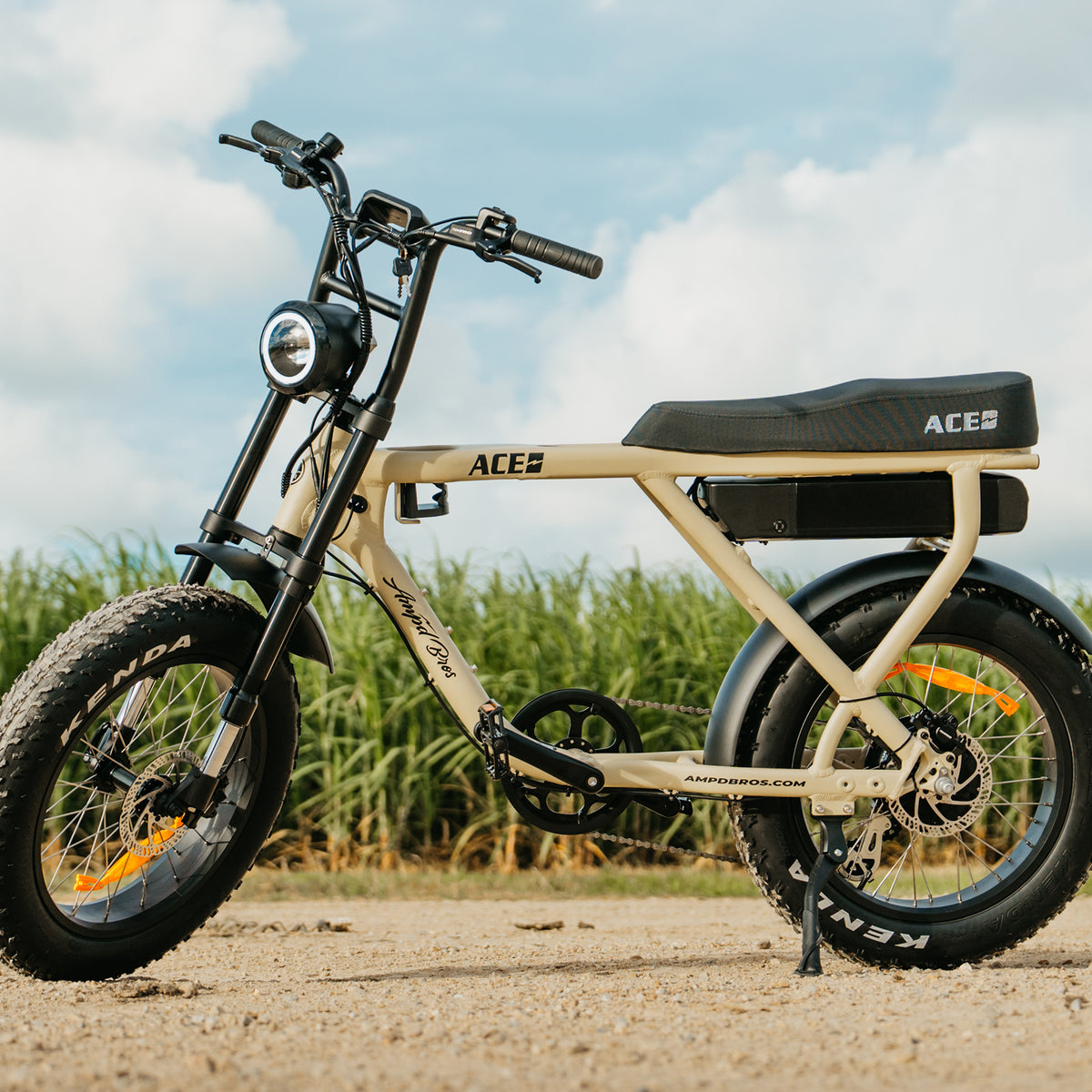 ACE Fatboy Electric Bikes - The Original Fat Bike Since 2019! – Ampd ...